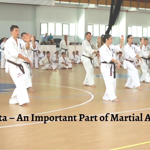 The True Role Of Kata In Kyokushin karate - Time to be United!