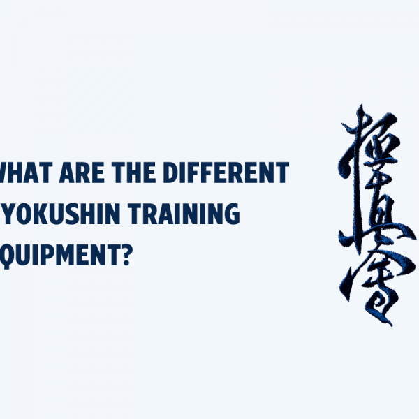 What is the purpose of Kyokushin karate? - Time to be United!