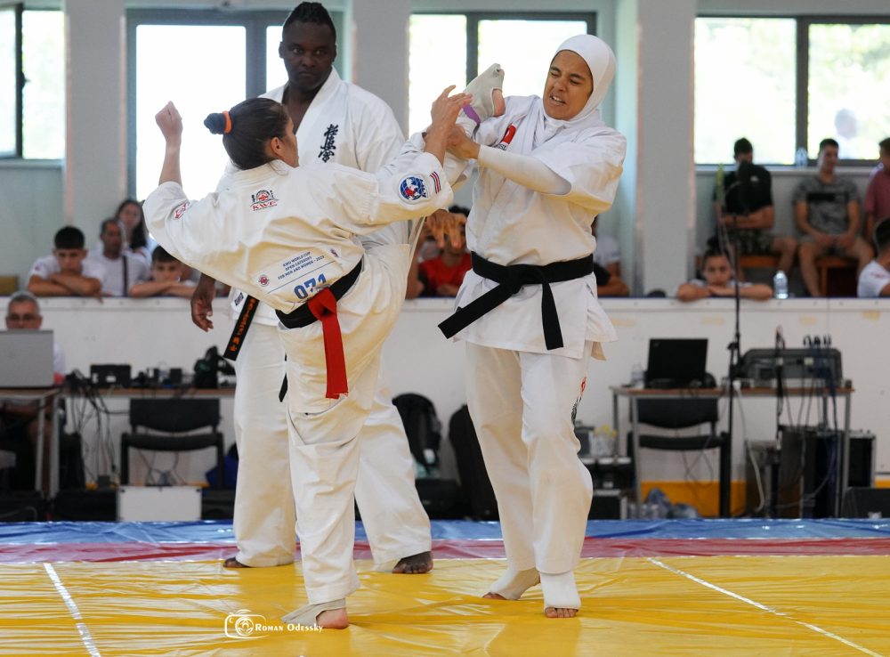 How does Kyokushin karate compare to Shotokan karate? - Time to be United!