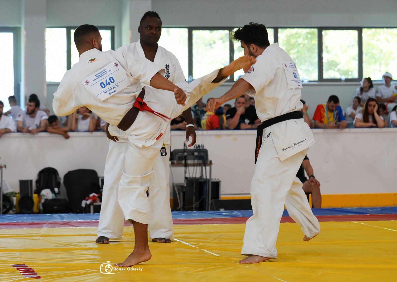 How does Kyokushin karate compare to Shotokan karate? - Time to be United!